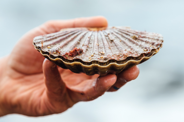 About us - La Rousse Foods